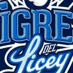RUEDA DE PRENSA VIRTUAL PARA ANUNCIAR EL NUEVO GERENTE GENERAL | Licey.com