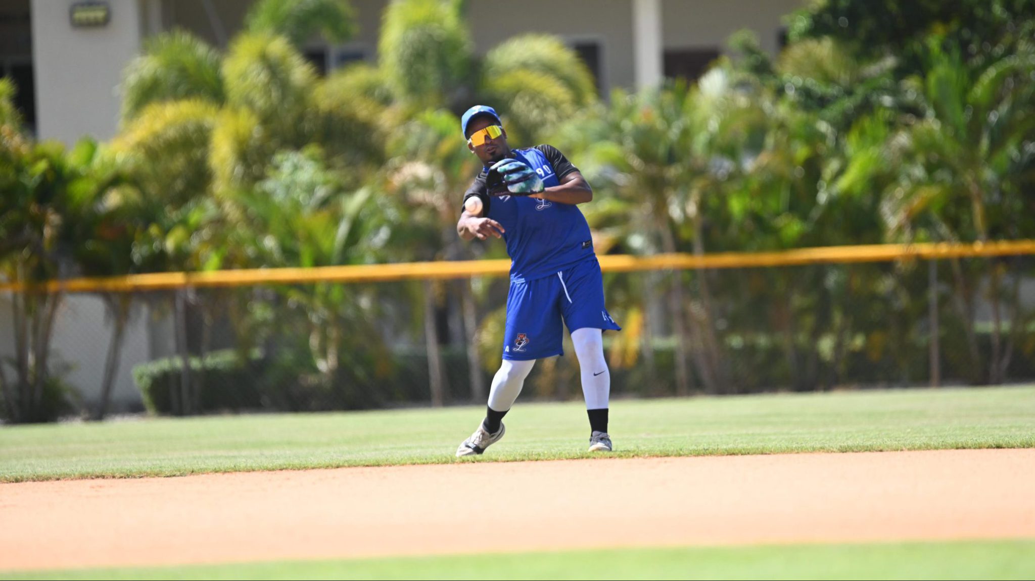 Leyba en busca dos títulos seguidos con Licey | Licey.com